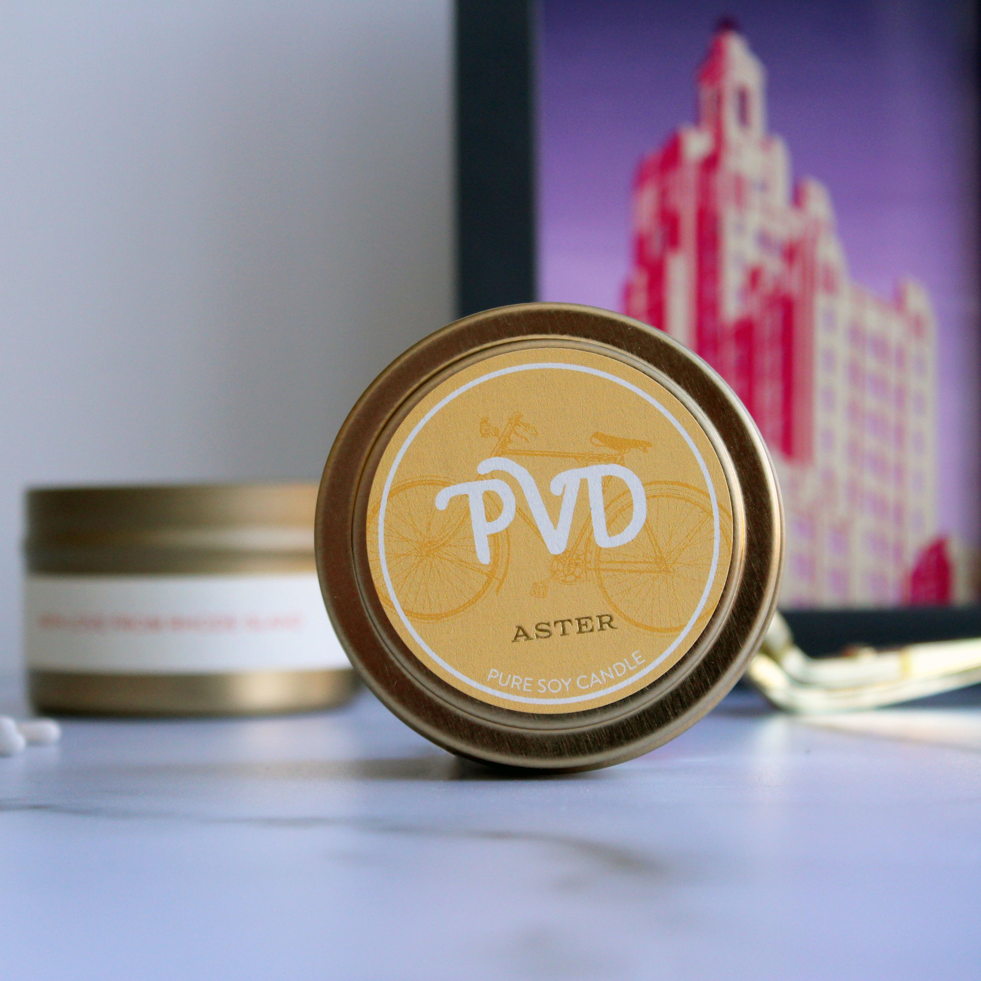 Providence Scented Candle – Aster Candle